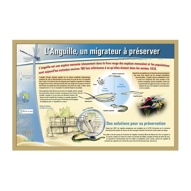 Création graphique pour la signalétique - Metropole Equipements